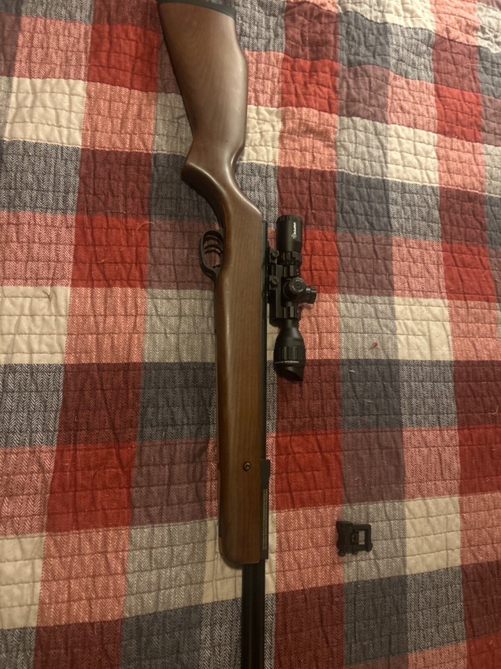 BEEMAN DOUBLE BARREL!! Break barrel pellet rifle . 177 beautiful ...