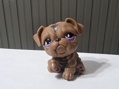 Littlest Pet Shop LPS #881 Brown Bulldog Puppy Dog Purple Teardrop Eyes ...