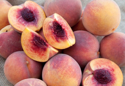 Late Season Yellow Peach Scion Cuttings For Grafting/Rooting UNROOTED ...