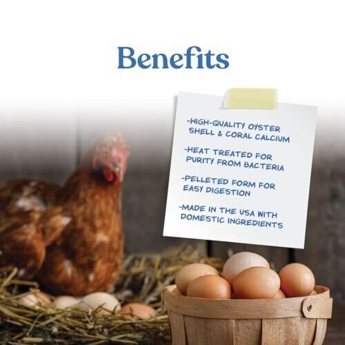 Crushed Oyster Shell - Calcium Supplement for Laying Hens - Chicken ...