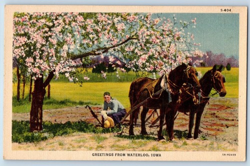 Waterloo Iowa Postcard Greetings Horses Man Sitting Tree Scenic View ...