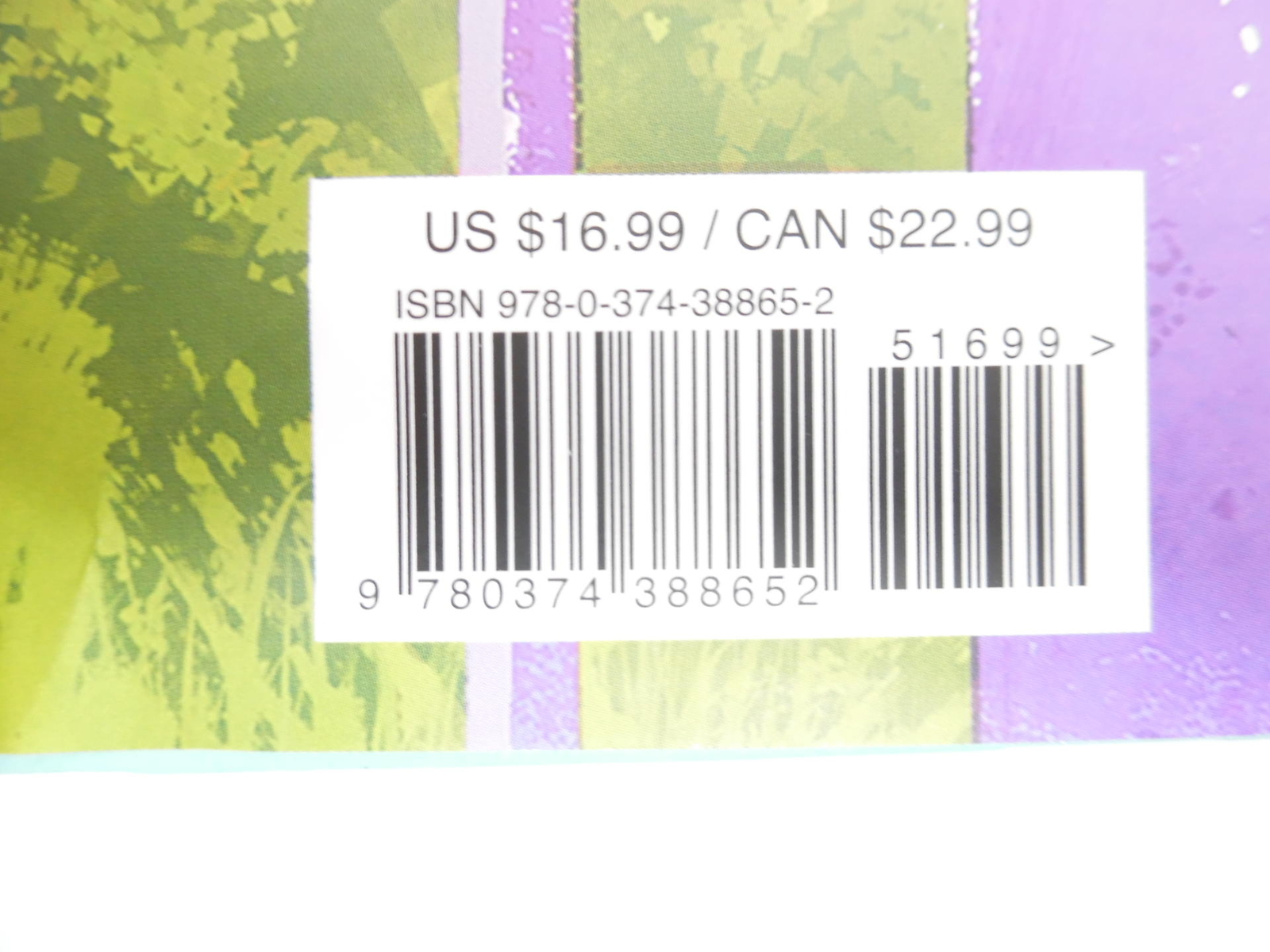 Air - A Novel by Monica Roe (Hardcover Book) 9780374388652| eBay