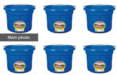 6 Blue Pro Farm Grade Flat Back 8 Quart Impact Resistant Buckets USA ...