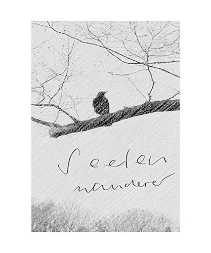 Seelenwanderer, Maria-Sophia Mahr | eBay