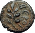 HADRIAN 117AD Authentic Ancient Beroea in Cyrrhestica Roman Coin w ...
