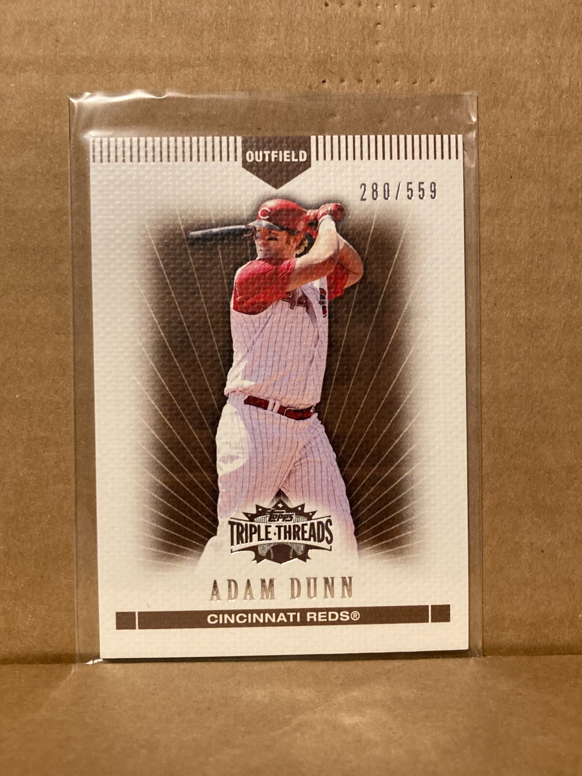 ADAM DUNN 2007 TOPPS TRIPLE THREADS /559 #8 | eBay