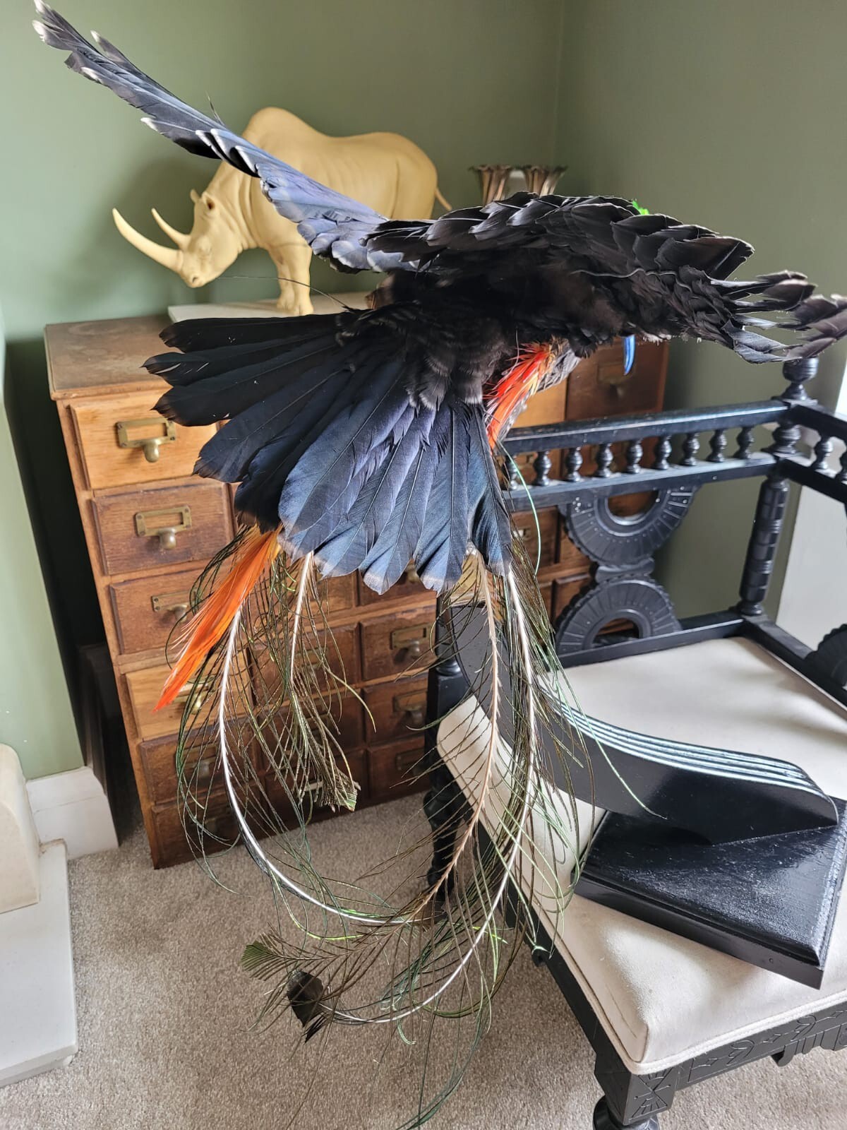 Taxidermy Curious Crow Hybrid Freak Bird Unusual Unique exotic black ...