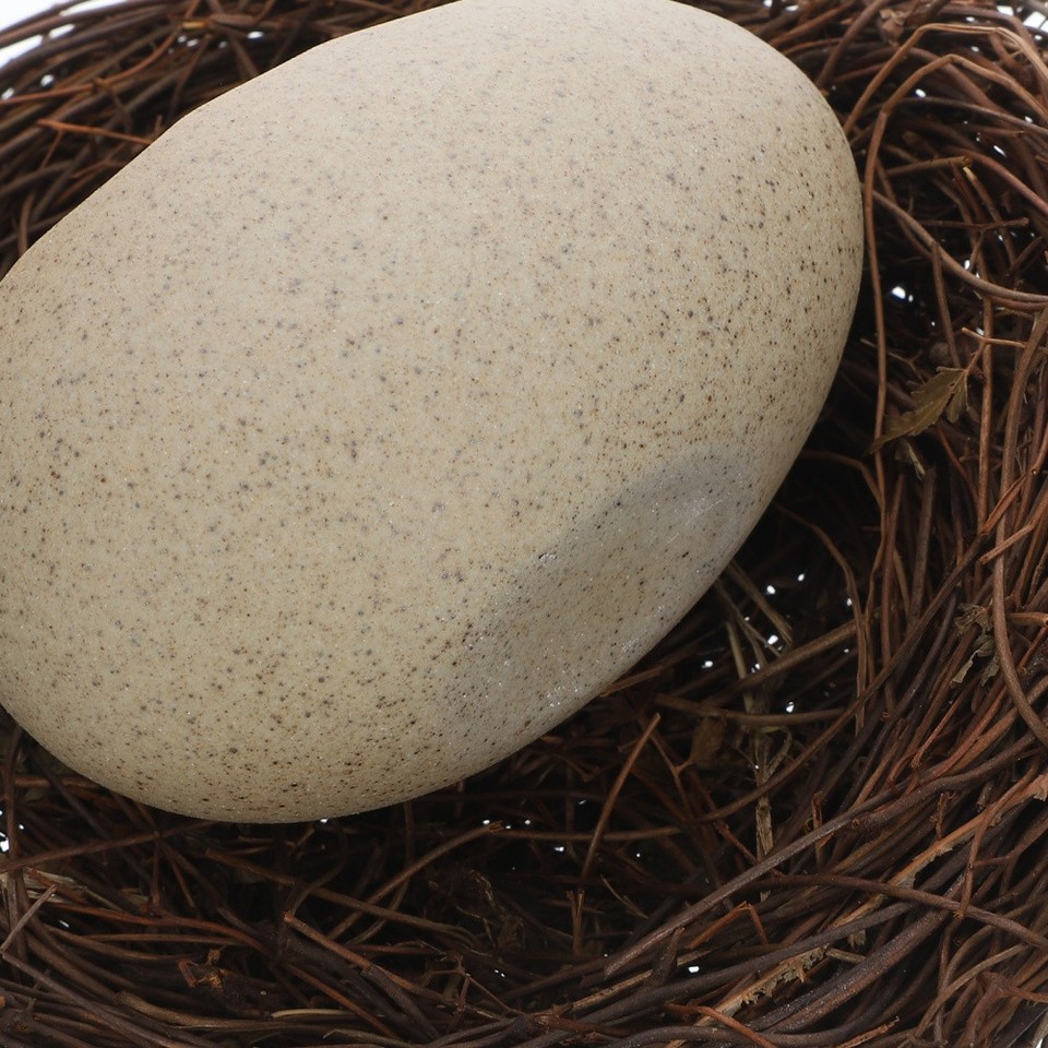 Decorative Bowls for Coffee Table Popcorn Serving Creative Bird Egg | eBay