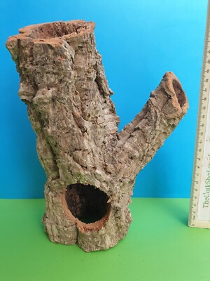 CORK BARK TUBE HIDE 16CM VIVARIUM GECKO LIZARD REPTILE SNAKE TARANTULA ...