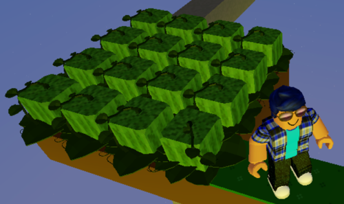 Islands Roblox Wood, Coins & More (***Read description***) | eBay UK