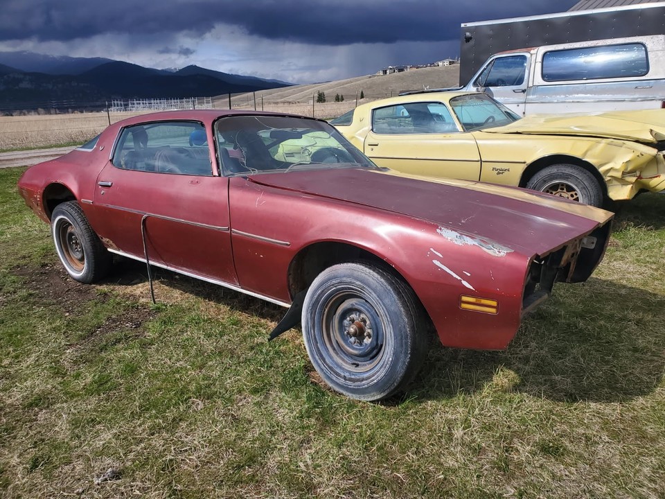 1978 Pontiac Firebird | eBay