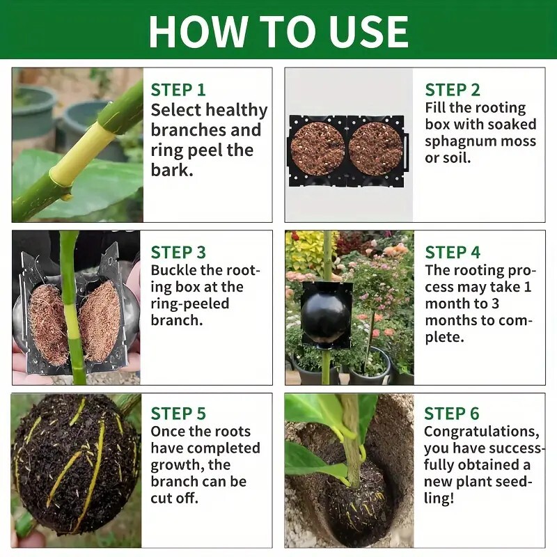 100pcs Rooting Ball Grafting Boxes, Tree Root Growing Boxes, Black ...