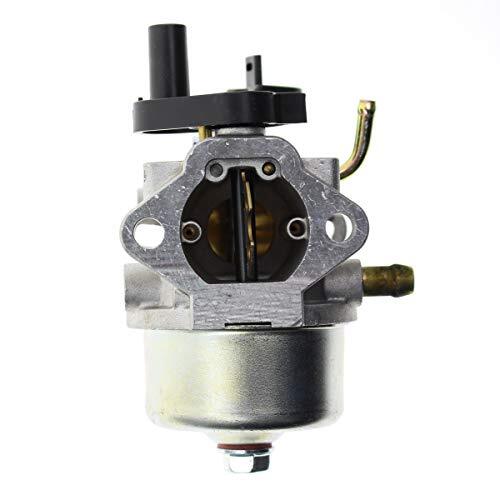 801396 Carburetor for Briggs & Stratton 801233 801255 Snowblower ...