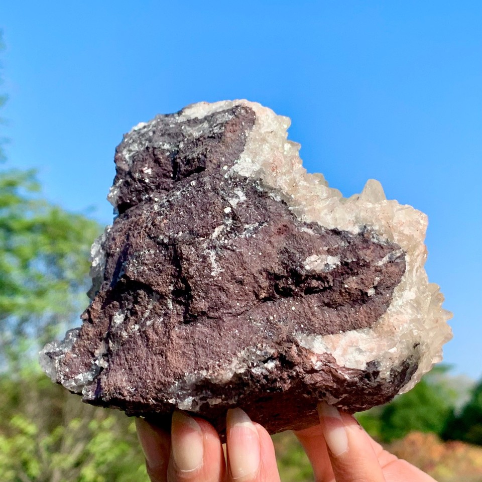 1.82LB Natural Needle Shaped Calcite Symbiotic Black Iron Ore Crystal ...