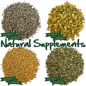 Horse Herbs Natural Feed Supplements 1kg - Natural Health Supplements ...