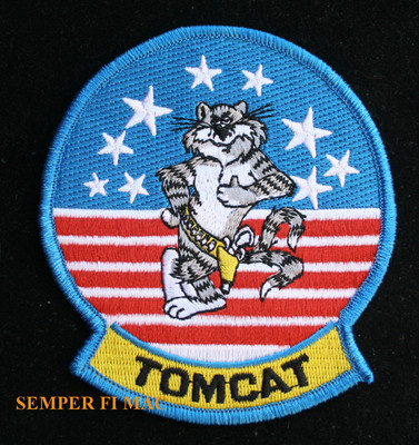 F-14 TOMCAT BABY STARS N STRIPES HAT PATCH US NAVY TOPGUN STARS PIN UP ...