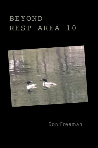 Ron Freeman Beyond Rest Area 10 (Poche) Rest Area 10 9781685707149 | eBay