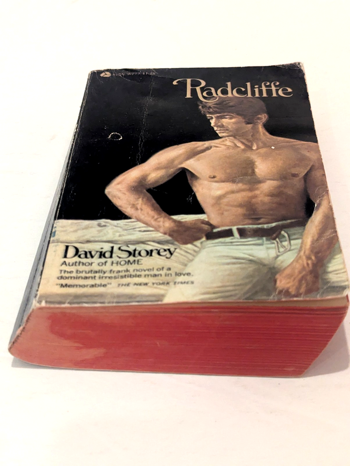 RADCLIFFE Gay Pulp 1971 David Storey Vintage Paperback Rare Edition | eBay