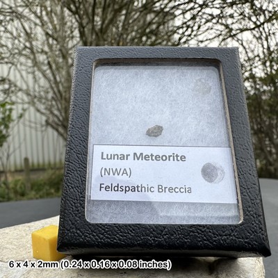 Genuine Lunar NWA 8687 Meteorite - Space Moon Rock - Education ...