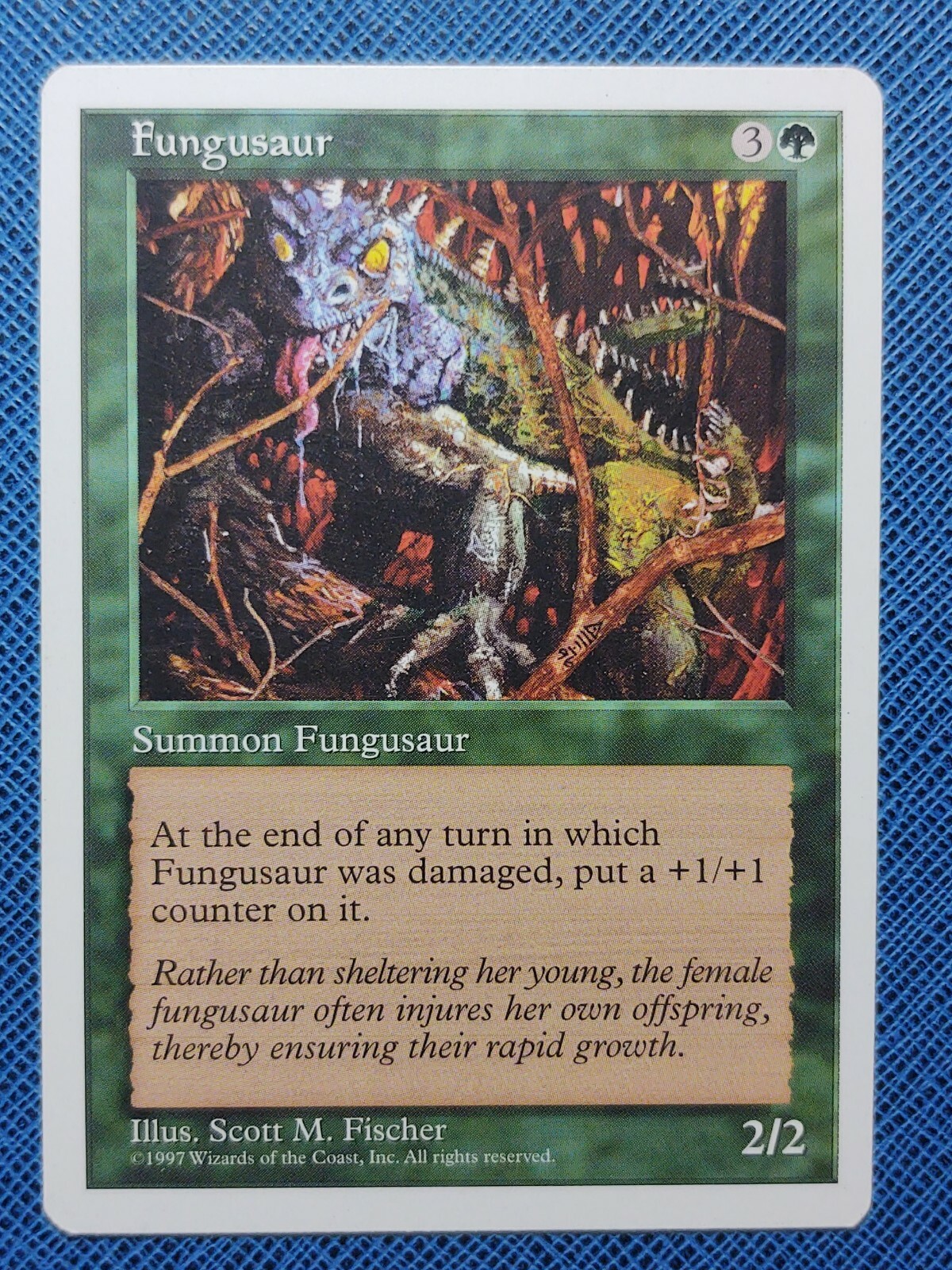 MTG 1x Fungusaur NM Fifth 5th Edition (multi available) Magic | eBay