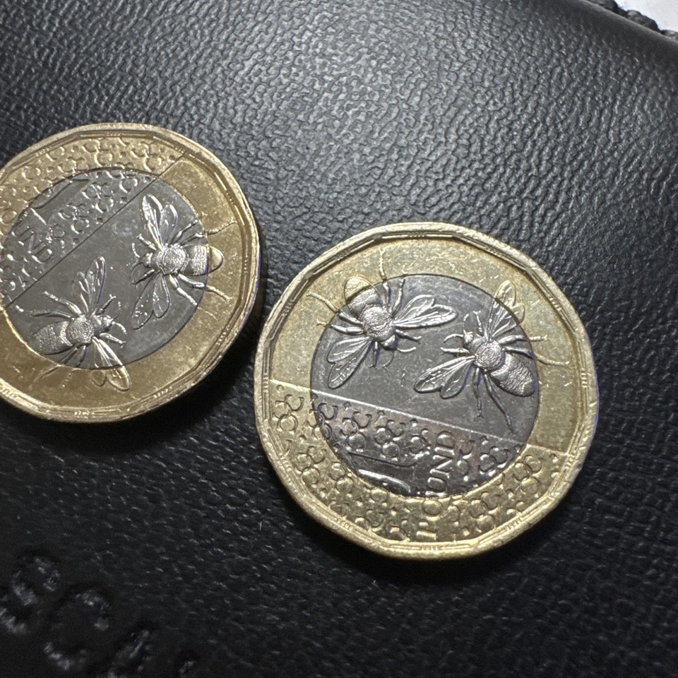 2025 King Charles III One Pound Coin Bees x2 | eBay UK