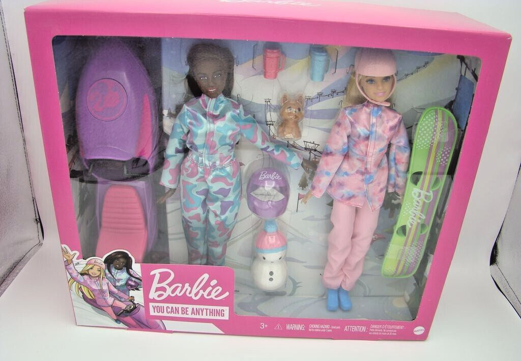 Barbie You Can Be Anything Winter Sports Doll Play Set Snowboard ...