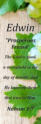 Edwin "Prosperous Friend" Keepsake Name Meaning Bookmark with Verse and ...