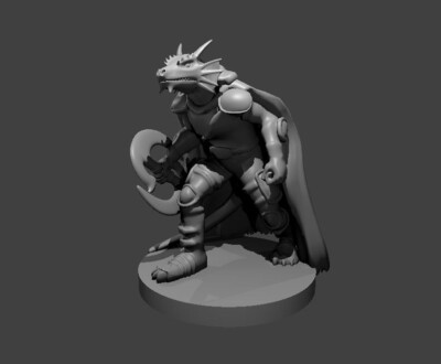 Dragonborn Fighter with Chakram 28mm Scale DND D&D Tabletop Miniature ...