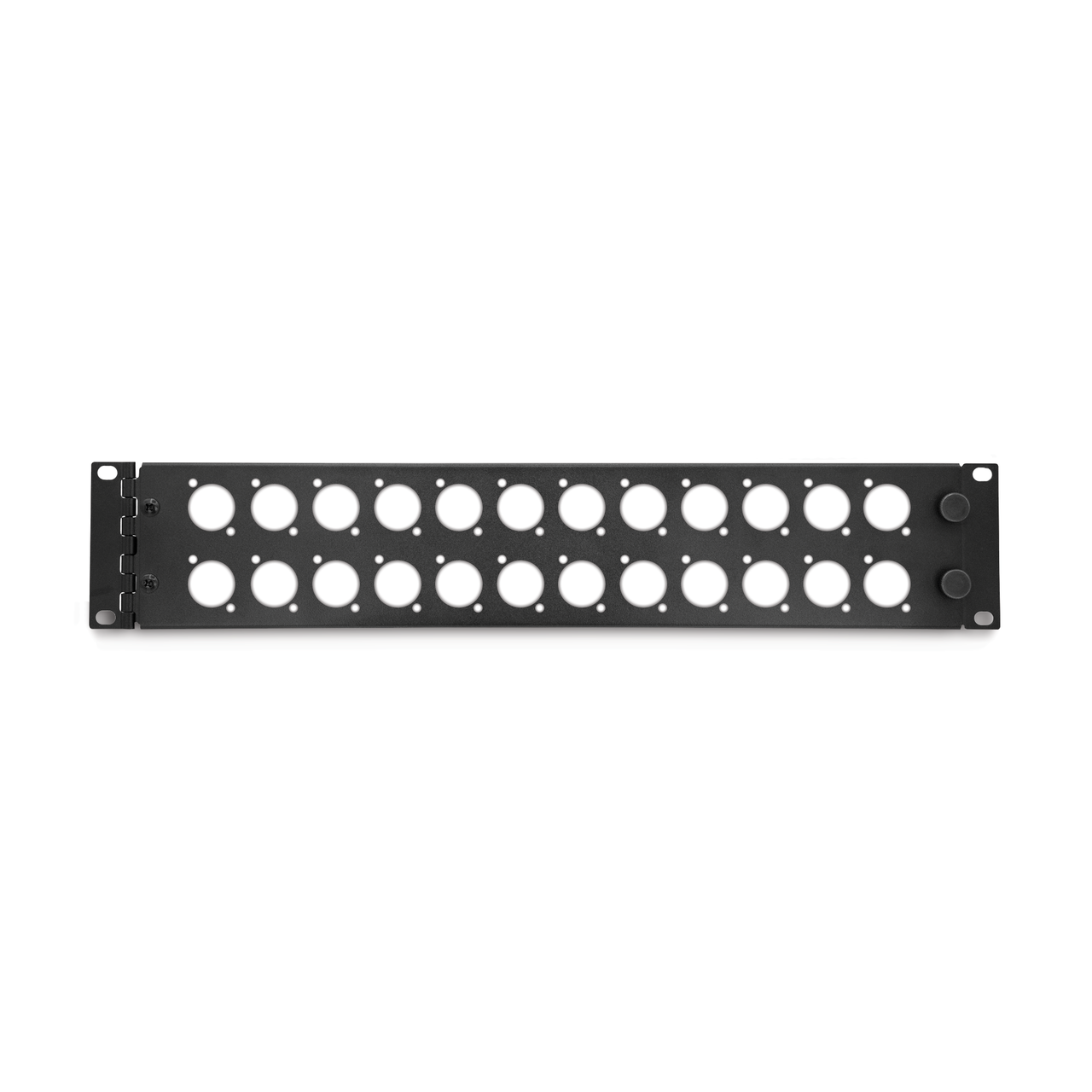 2 Space Hinged Rack Panel w/ 24 D Connector Punchout Holes for ATA Rack ...