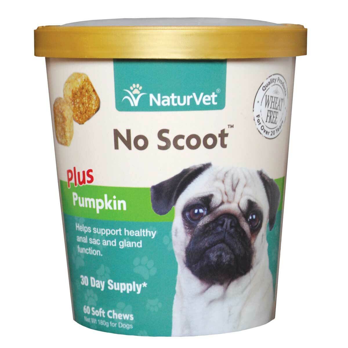 No Scoot Healthy Dog Digestive Tract Plus Pumpkin Supplement Powder or ...
