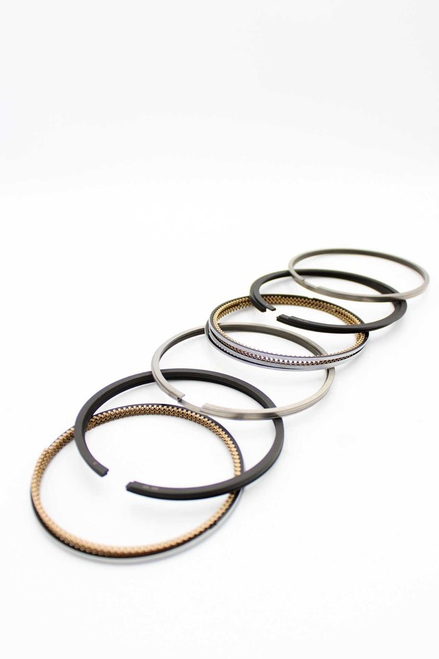 Land Rover 5.0 Petrol BRAND NEW Piston Rings Set LR028148 | eBay