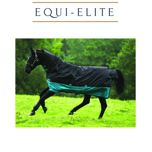 Amigo Mio All In One Turnout Rug - Medium Weight 200g | eBay UK