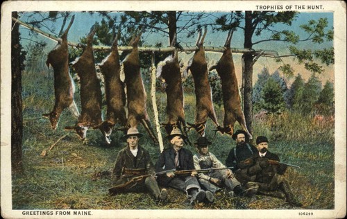 Maine ME Deer Hunting Hunters Rifles c1915-1930s Vintage Postcard | eBay