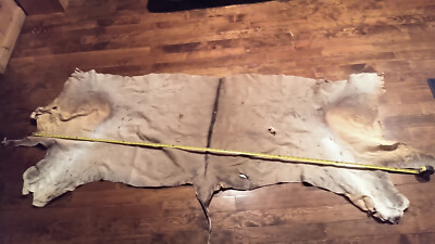 Eland back hide skin fur rug craft leather | eBay