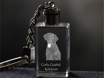 Curly Coated Retriever, Crystal Keyring, Keychain, Quality, Crystal ...