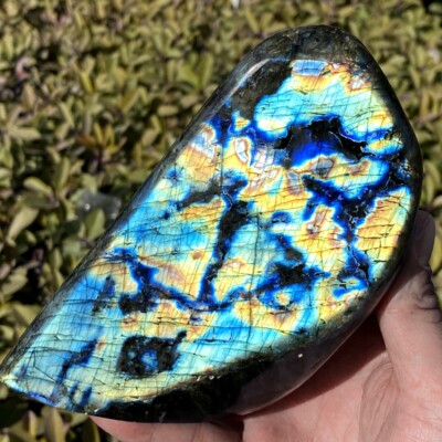 2.92LB Top natural Labrador flash moonstone quartz crystal mineral ...