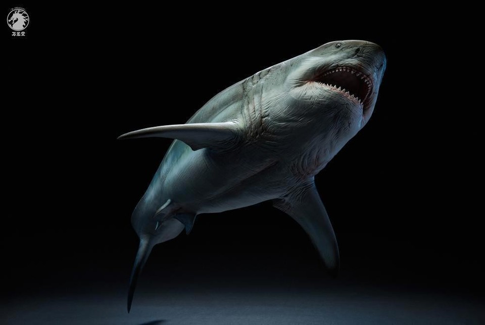 W-Dragon 1/35 Megalodon prehistoric sharks Dinosaurs Model toy Figure ...