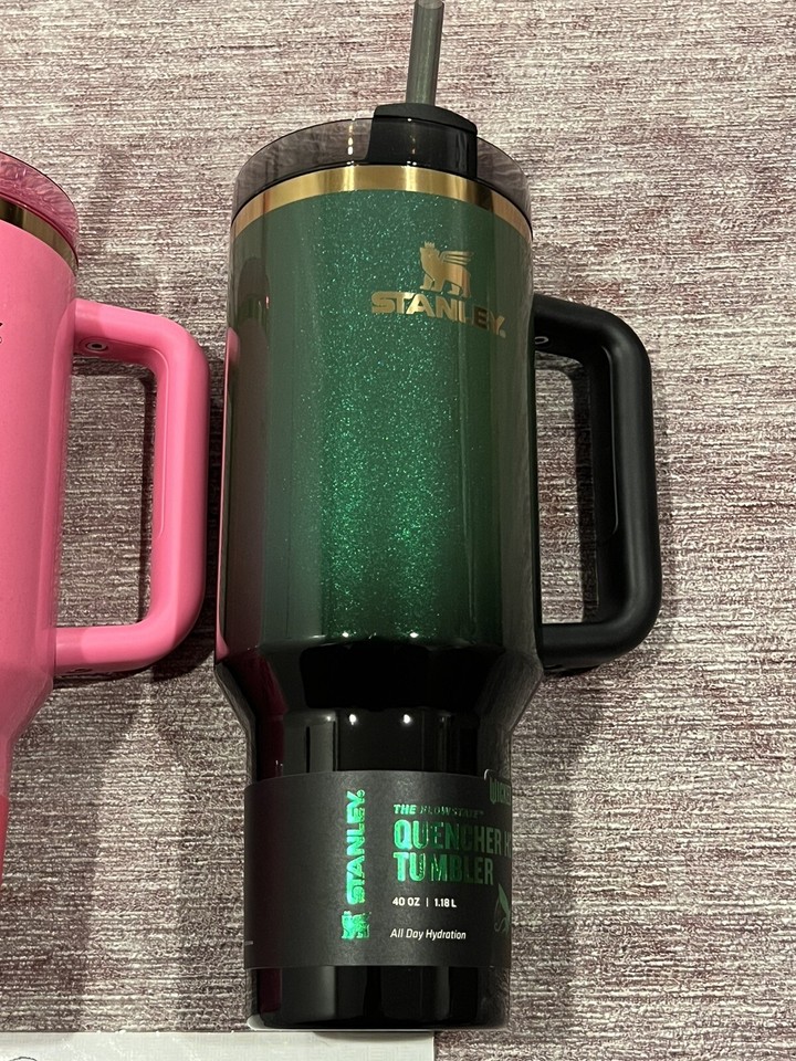 Stanley X Wicked 40oz Tumbler Target Exclusive Bundle Set Elphaba ...