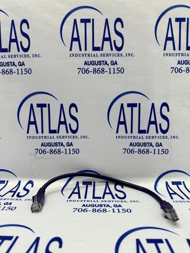 Ethernet Patch Cord 12" RJ-45 / RJ45 (L32) | eBay