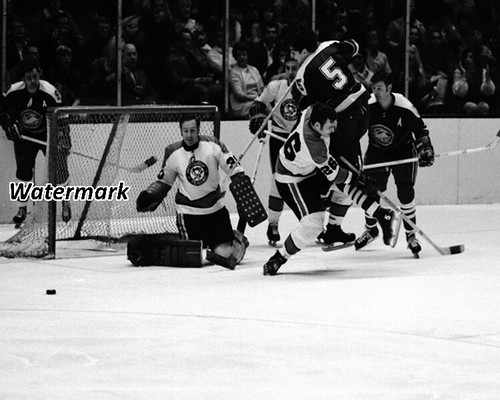 NHL 1971 Pittsburgh Penguins Maskless Goalie Les Binkley Action 8 X 10 ...