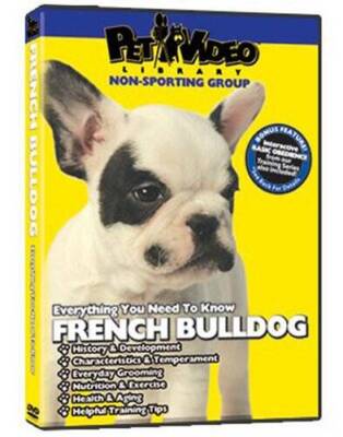 FRENCH BULLDOG DVD Dog Puppy Training Bonus (DoggyDVD) - DVD - VERY ...