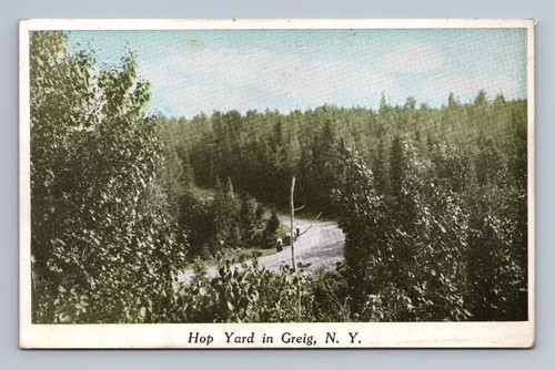 "Hop Yard" Greig New York ~ Antique Lewis County Generic Postcard ...