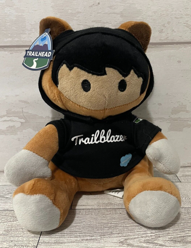 Salesforce Trailblazer Plush Astro Nomical Raccoon 8" Plush Hoodie ...