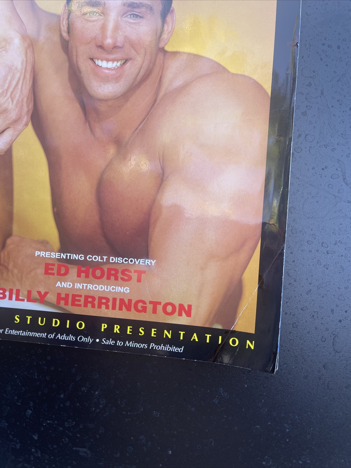 COLT MEN Issue # 34 Gay Magazine Studio 1998 Homosexual Ed Horst Bill Herrington | eBay