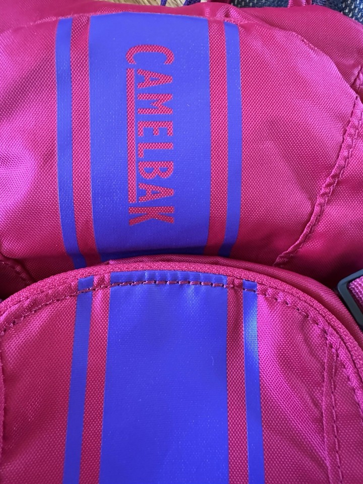 CamelBak Mini M.U.L.E. Kids Hydration Pack 50 oz Pink 12" - No Bladder ...