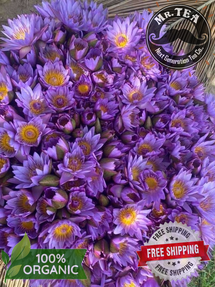 Organic Natural BLUE LOTUS Nymphaea Caerulea Dried Flower 100%Harbal ...