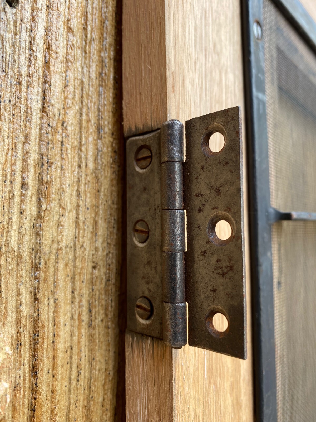 Old Original BLACK WROUGHT IRON HARDWOOD TIMBER SCREEN DOOR flywire fly ...