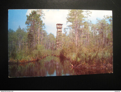 Waycross Georgia Okefenokee Swamp Park Observation Tower Postcard USA ...