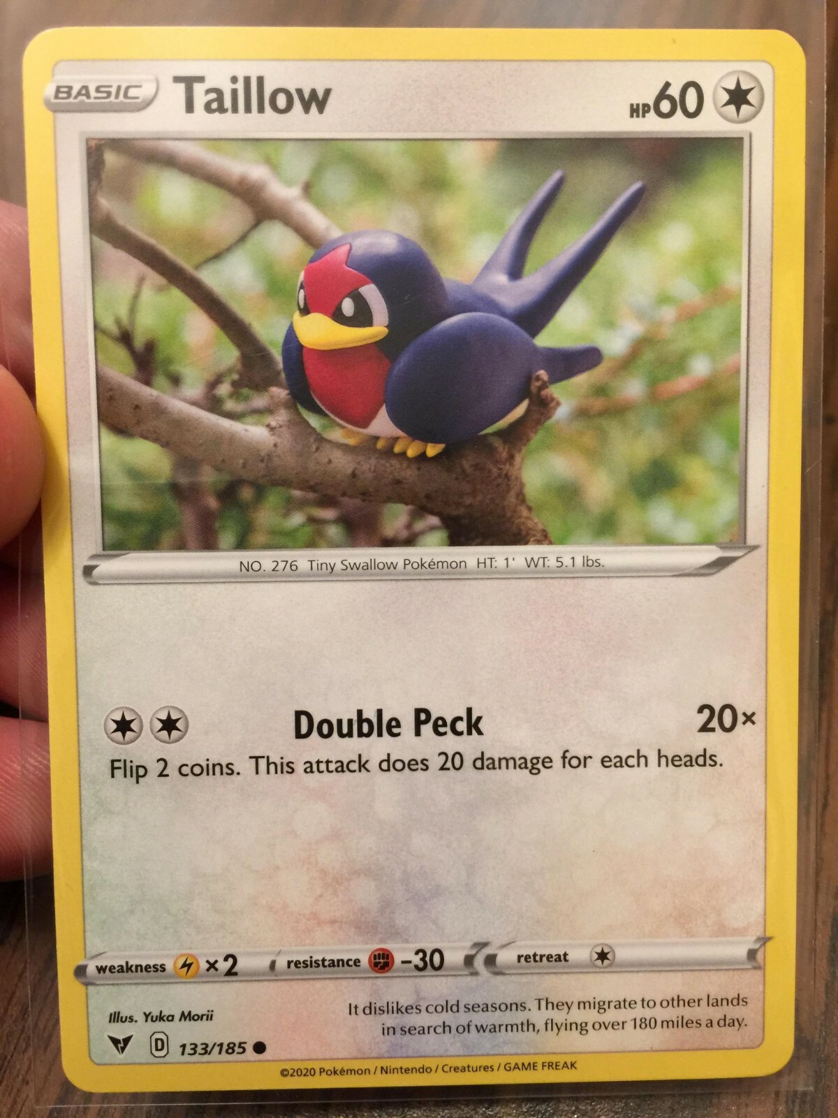 Pokemon Taillow Card