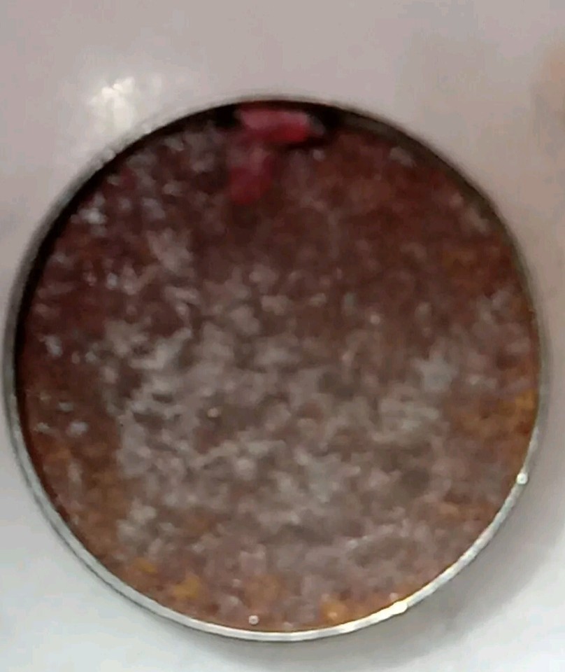 RARE 1961 NICKEL WITH NO REVERSE ALSO THIS NICKEL STICKS TO MAGNET | eBay